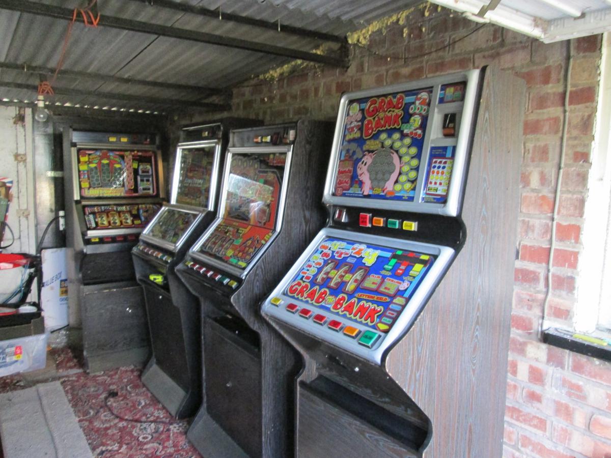 MPU Mecca - HAD A TIDY UP - MPU Mecca - Fruit-Emu