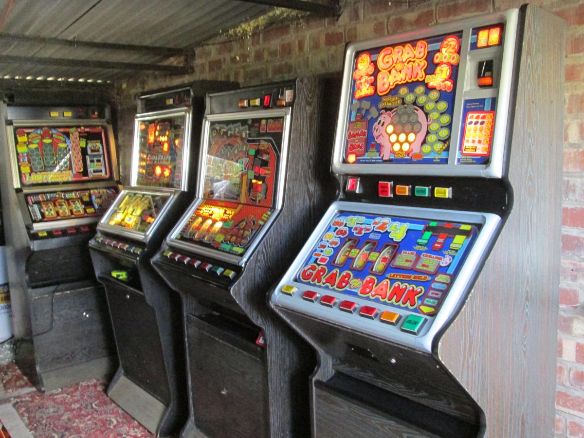 MPU Mecca - HAD A TIDY UP - MPU Mecca - Fruit-Emu